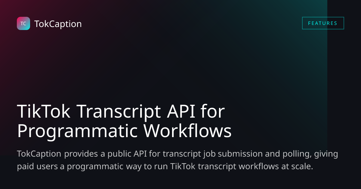 TikTok Transcript API for Programmatic Workflows | TokCaption